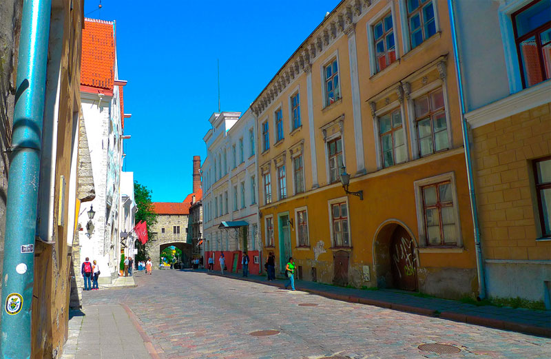 Calle Pikk de Tallin